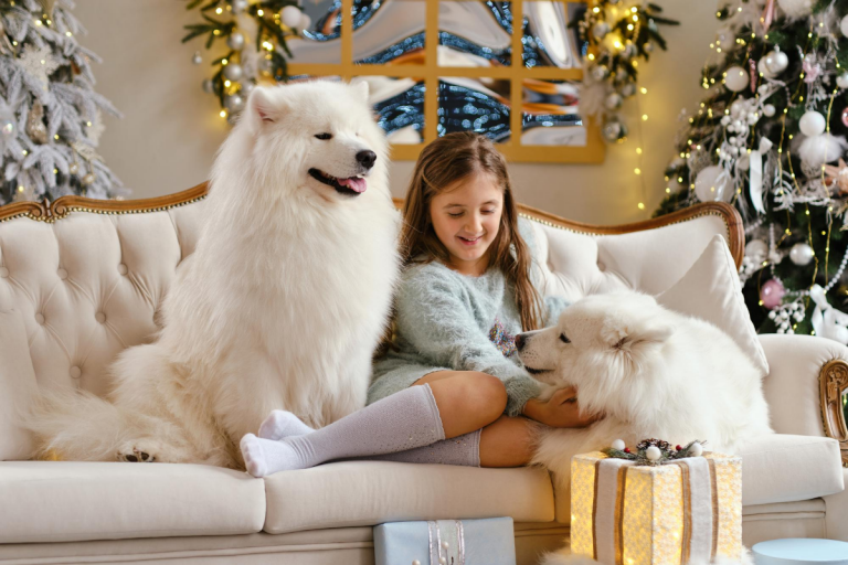 Top 8 Most Pet-Friendly Communities in Dubai