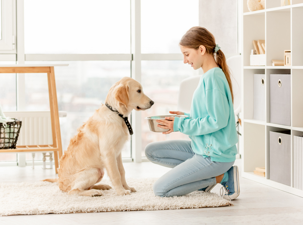 Top 8 Most Pet-Friendly Communities in Dubai