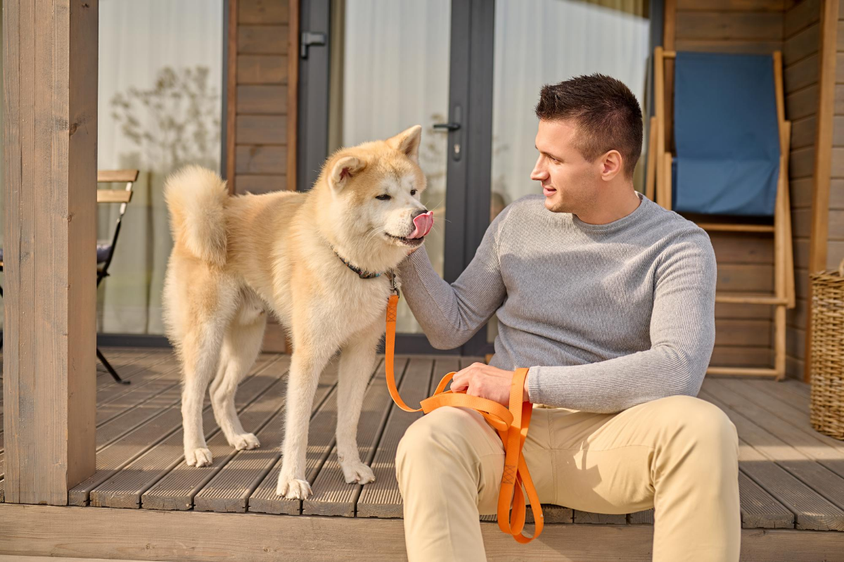Top 8 Most Pet-Friendly Communities in Dubai